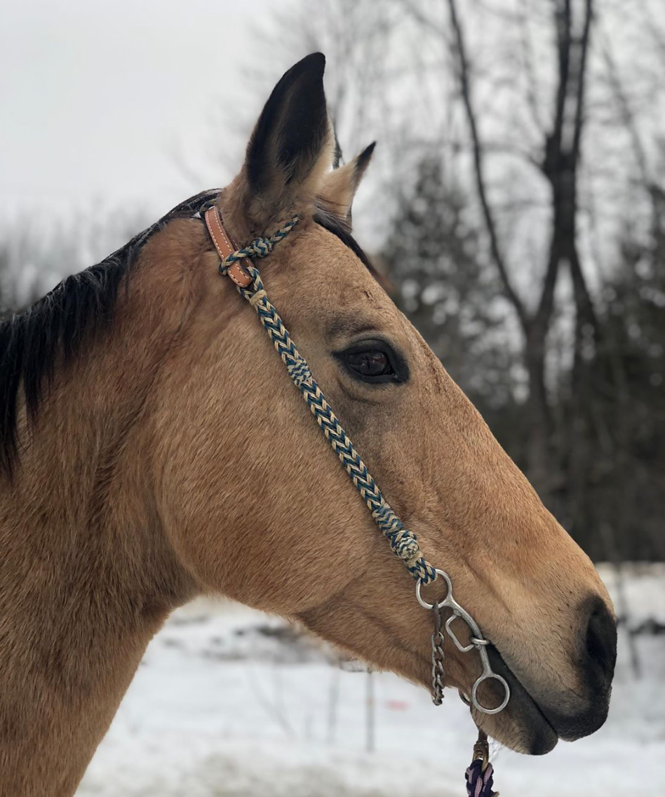 One Ear Headstalls – Alamo Saddlery
